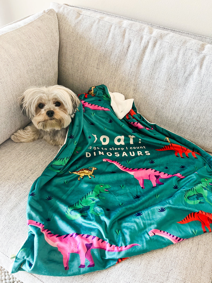 Dinosaurs Blanket – Hey Mushu USA